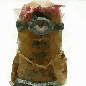 Tupac Minion (@tupacminion) - Musicboard