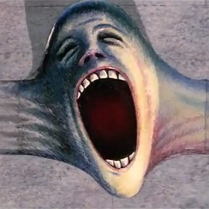 Ryan Insley (@ryaninsley) - Musicboard