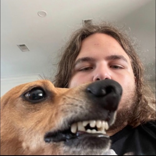 Caleb rowell (@raging_taxi) - Musicboard