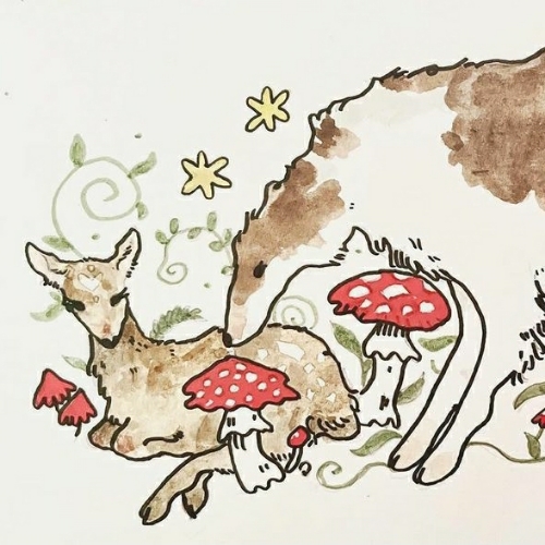 Diana Banu (@brumarel) - Musicboard