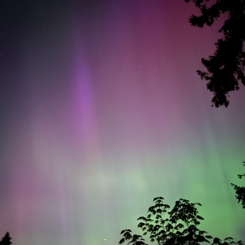 Aaron Burkhalter (@aaronburkhalter) - Musicboard