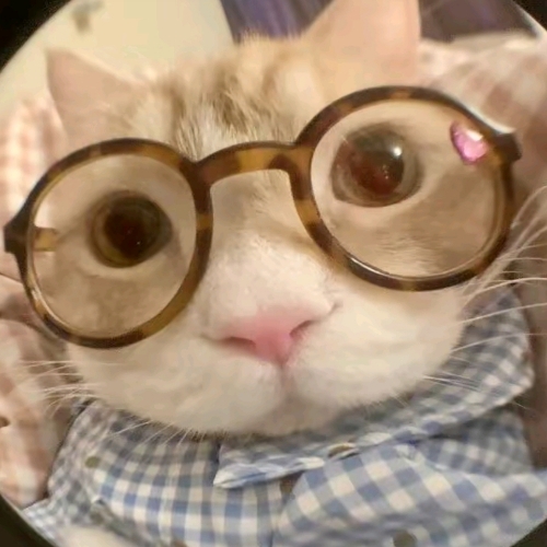 octae's artists - Musicboard