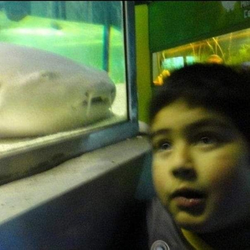 sbbv's Listen Later - Musicboard