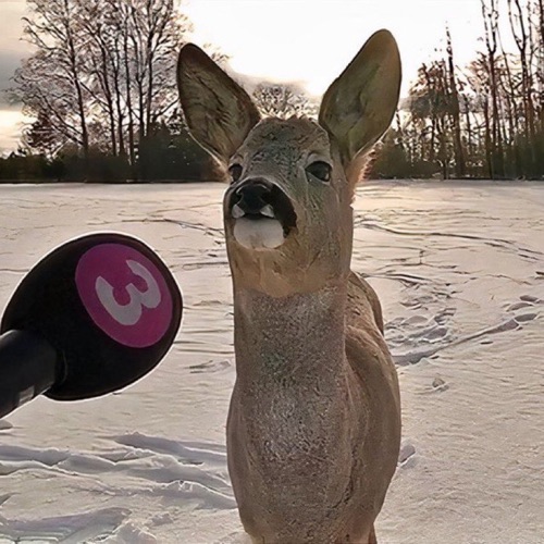 jcjcjc's artists - Musicboard