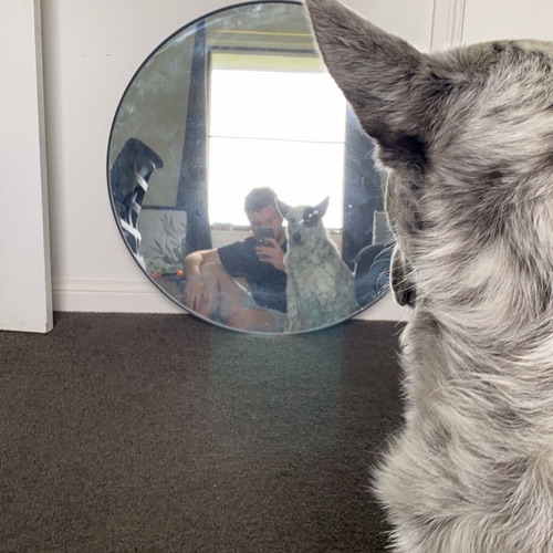 Dylan Patterson (@patto) - Musicboard