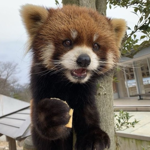 Breanna Hall (@butterbrie) - Musicboard