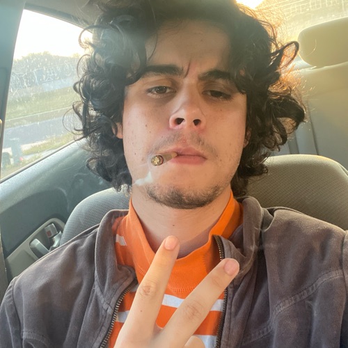 zazvaro's artists - Musicboard