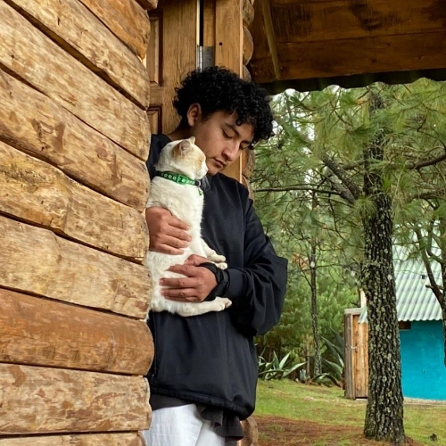 balyit's artists - Musicboard