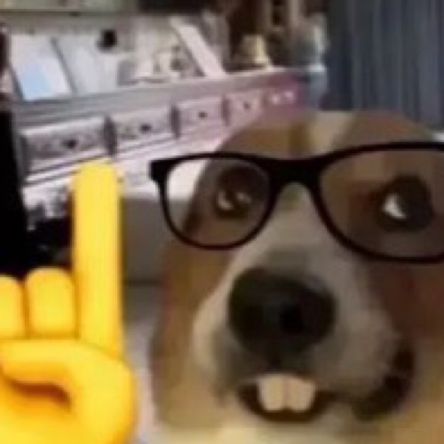 Devin Jennings (@deadvin) - Musicboard