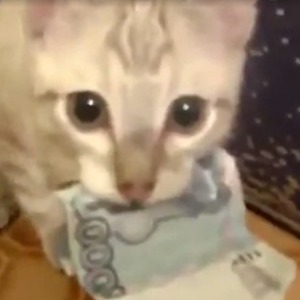 keira's Listen Later - Musicboard