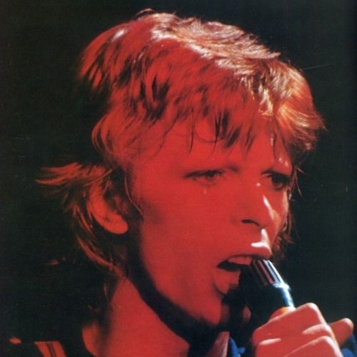 mori.lab's artists - Musicboard