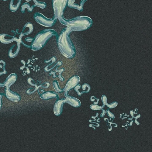 nosoo's artists - Musicboard